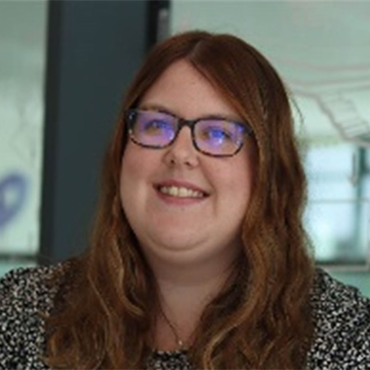 About Us – Wales Nuclear Forum